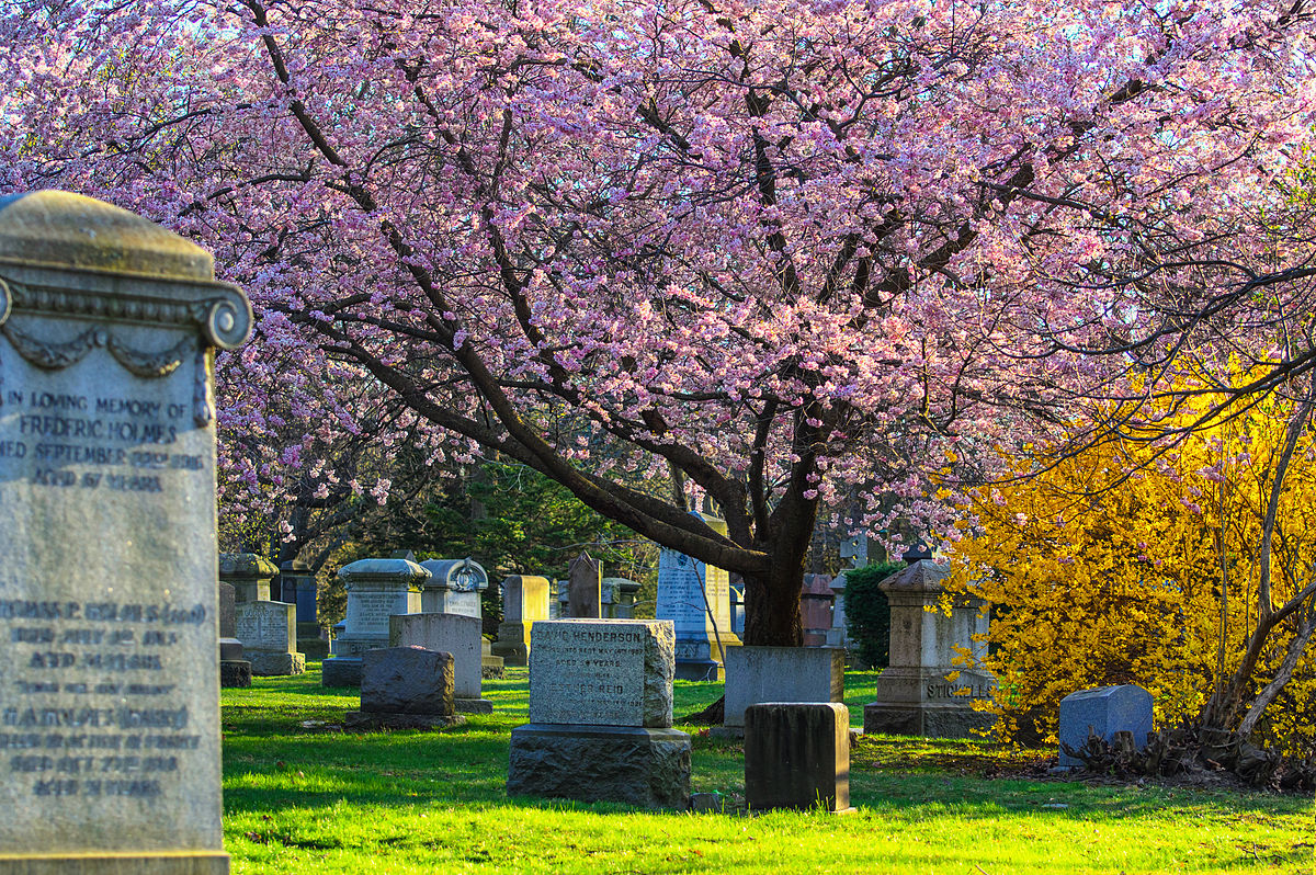 A Brief History of Ottawa’s Cemeteries - ottawa-future.com